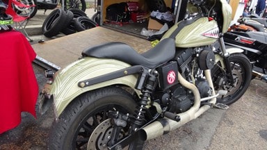 Harley stunt riders - San Diego/Peoria AZ Custom Motorcycles